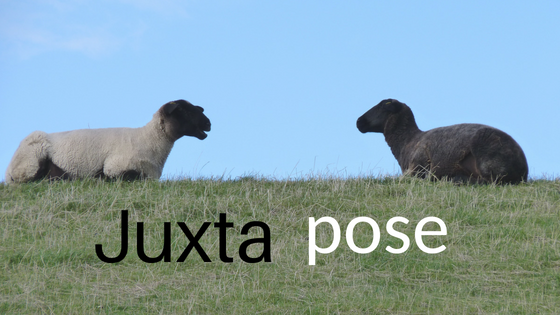 Juxtapose of a Gemini – In my world